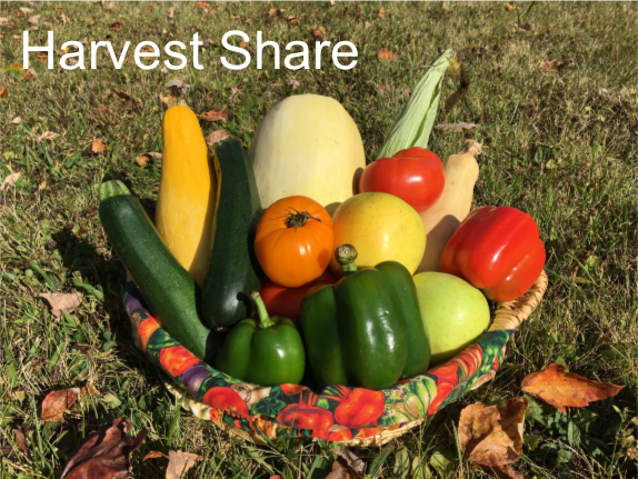 A Whole Community-Harvest Share
